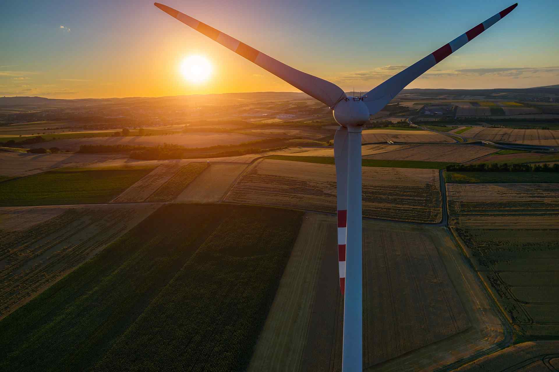 Doha structure – Patho World LabTech